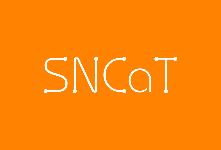 Seminário Nacional de Catalogação e Tecnologia (SNCaT) | Fabrício Assumpção